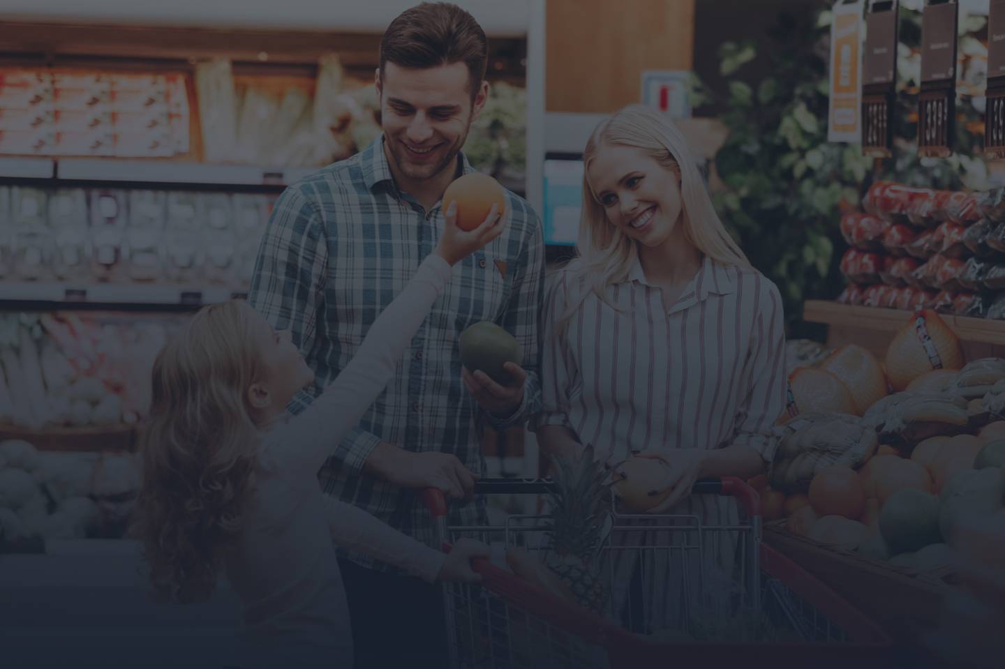 Shopping Guide App - *instinctools